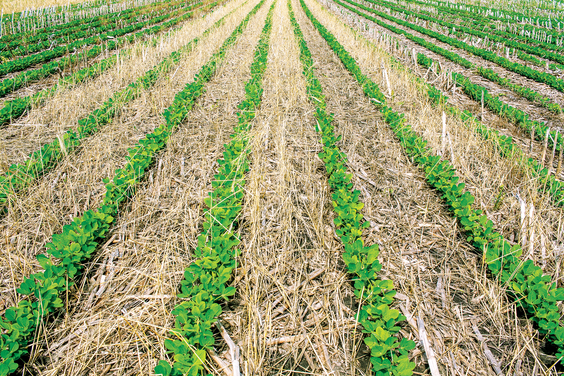 Low-Till Farming with Technology – Mother Earth News